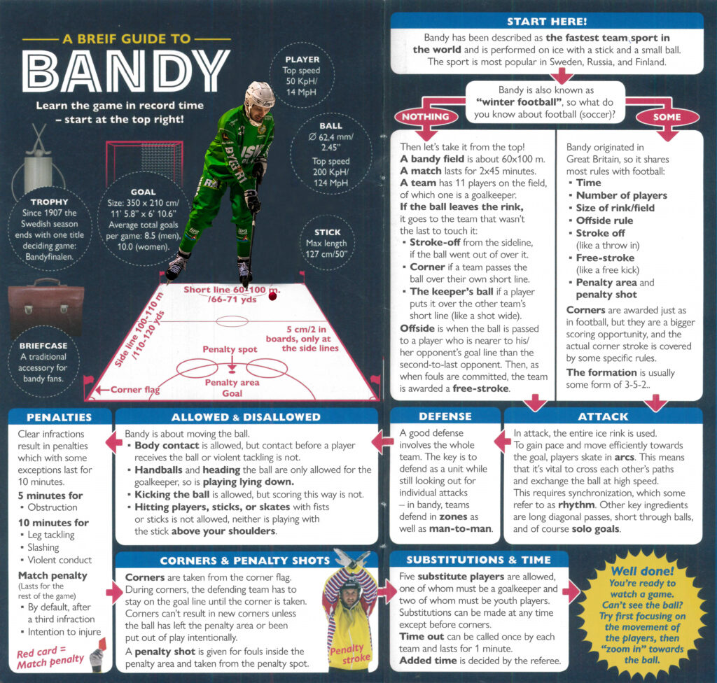 Hammarby Bandy | Bandy in english