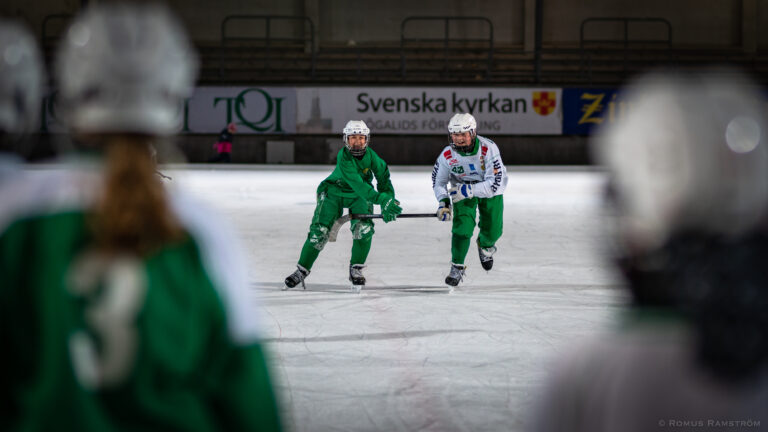 Hammarby Bandy | Officiell Hemsida