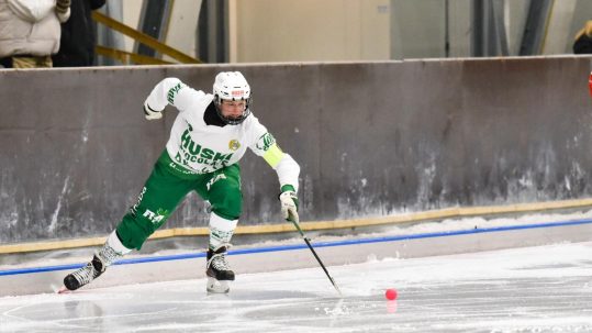 Hammarby Bandy | Officiell Hemsida för Hammarby Bandy