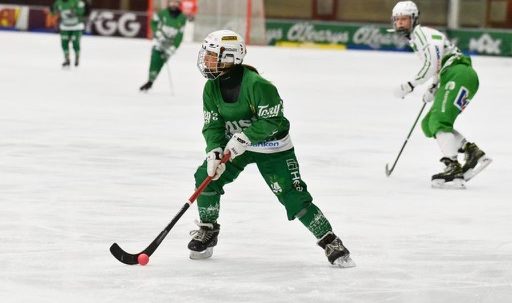 Hammarby Bandy | Officiell Hemsida för Hammarby Bandy