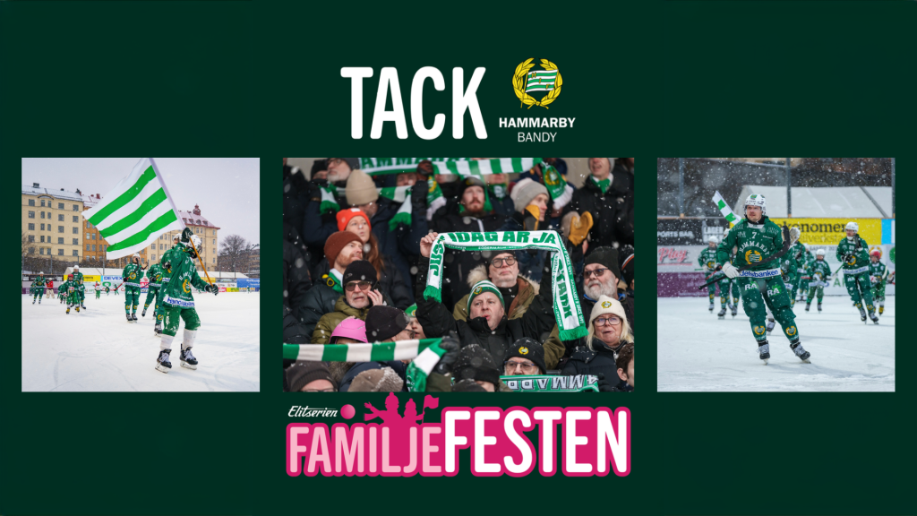 Hammarby Bandy | Tack till våra sponsorer på Bandyns Dag